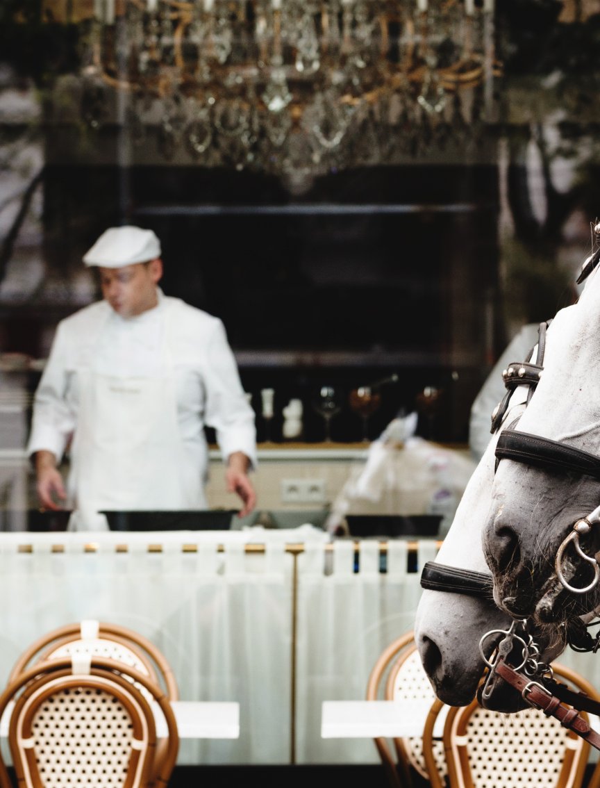 Geschichte | Restaurant Meissl und Schadn | Wien | Salzburg